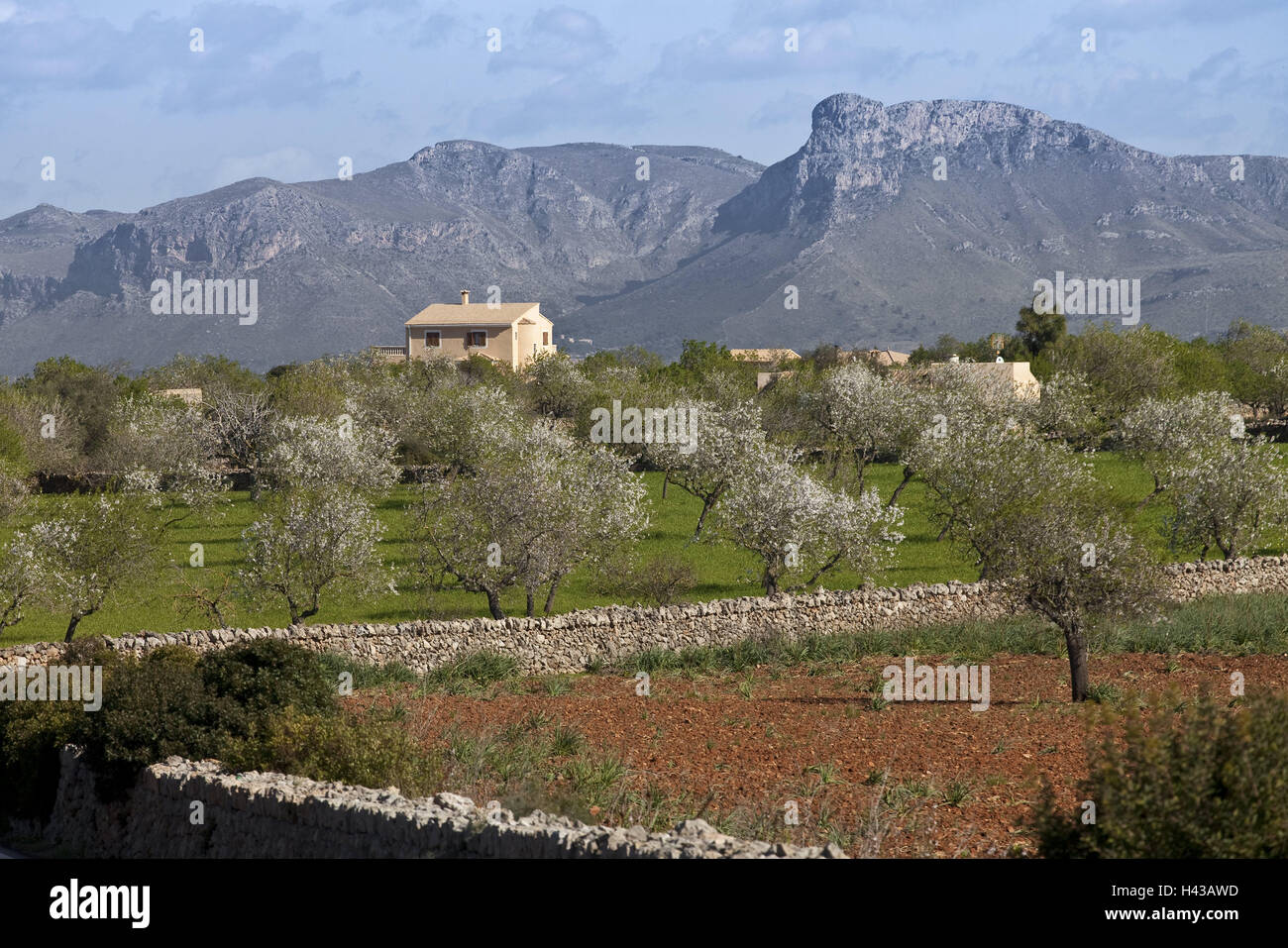 Spain, the Balearic Islands, island Majorca, scenery, mountains, Finca ...