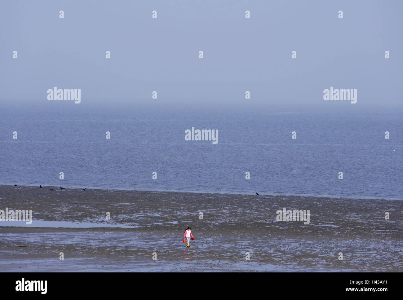 Germany, Lower Saxony, the North Sea, watt, girl, mussels, search, no ...