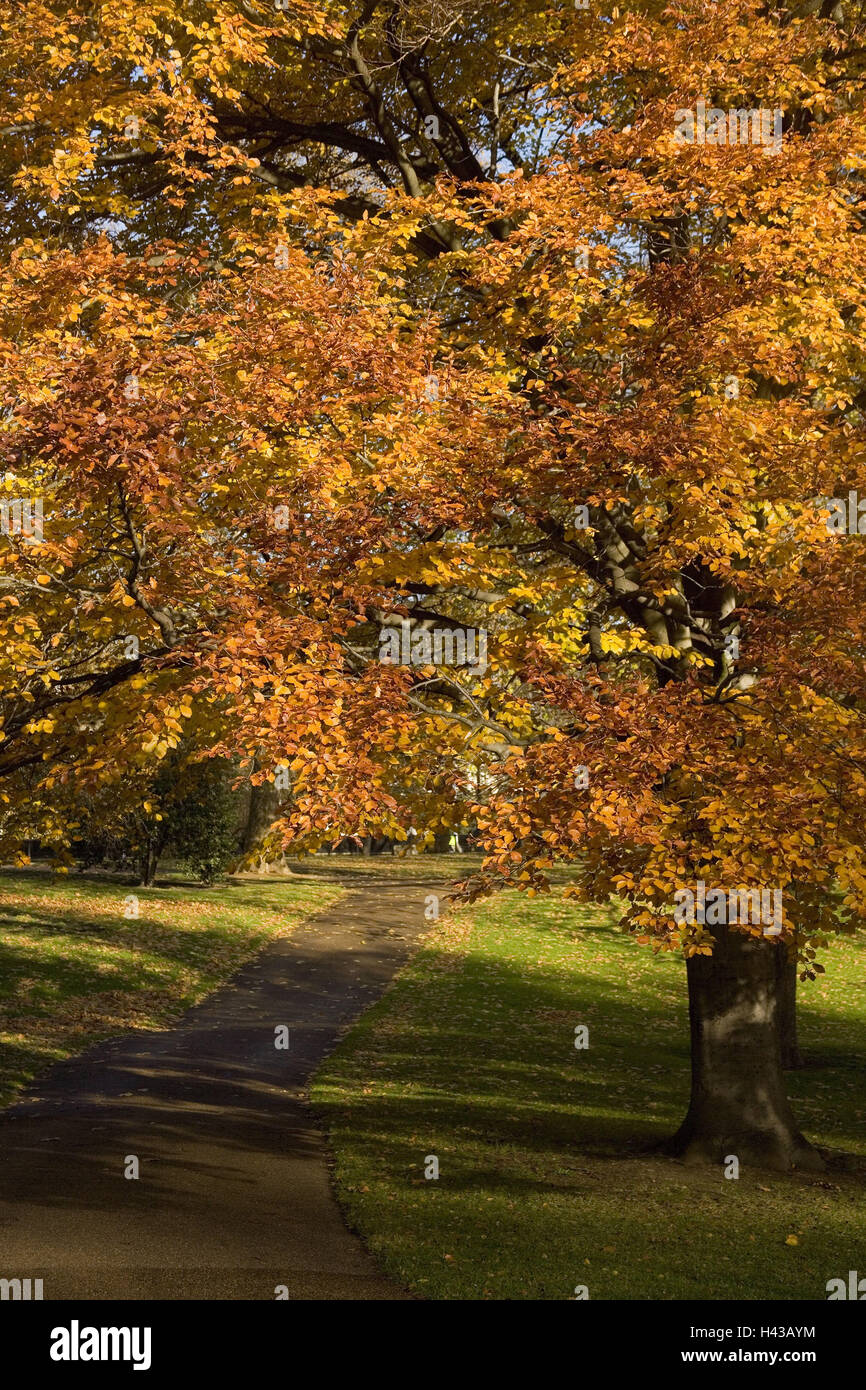 Great Britain, London, St. Jame's park, autumn Stock Photo - Alamy