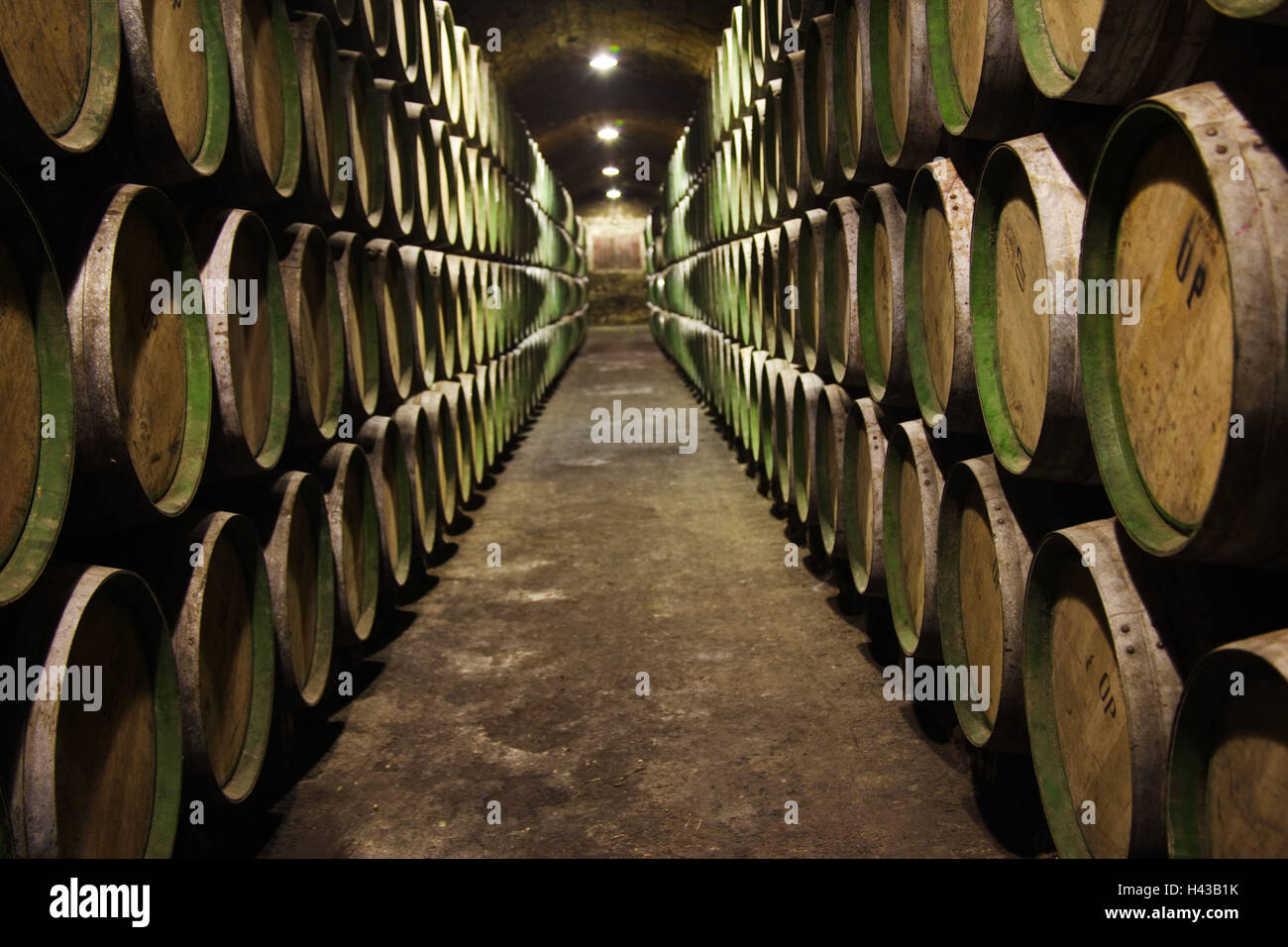 Spain, La Rioja, wine cellar Stock Photo - Alamy