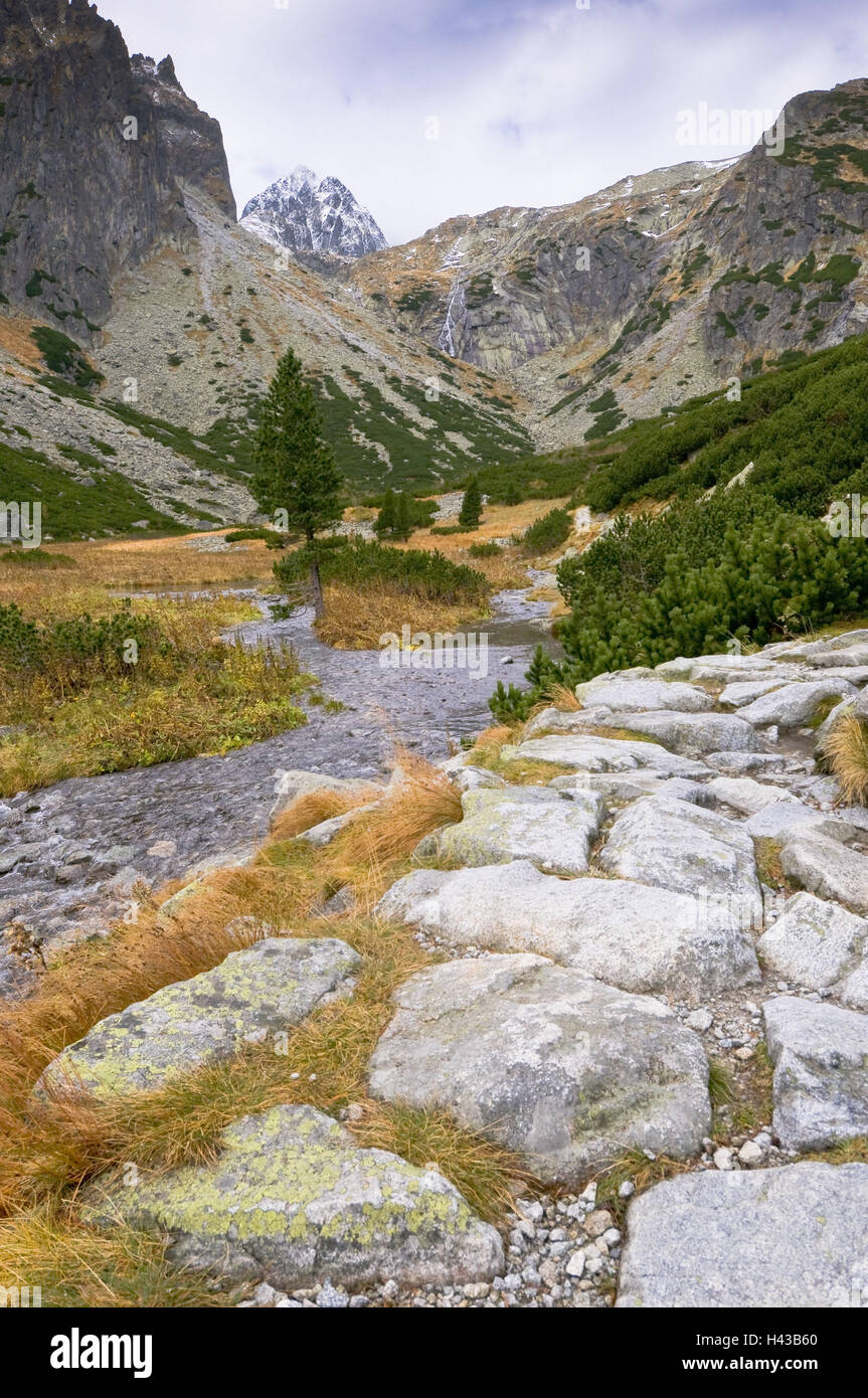 Small chill brook valley, national park the high Tatra Mountains ...