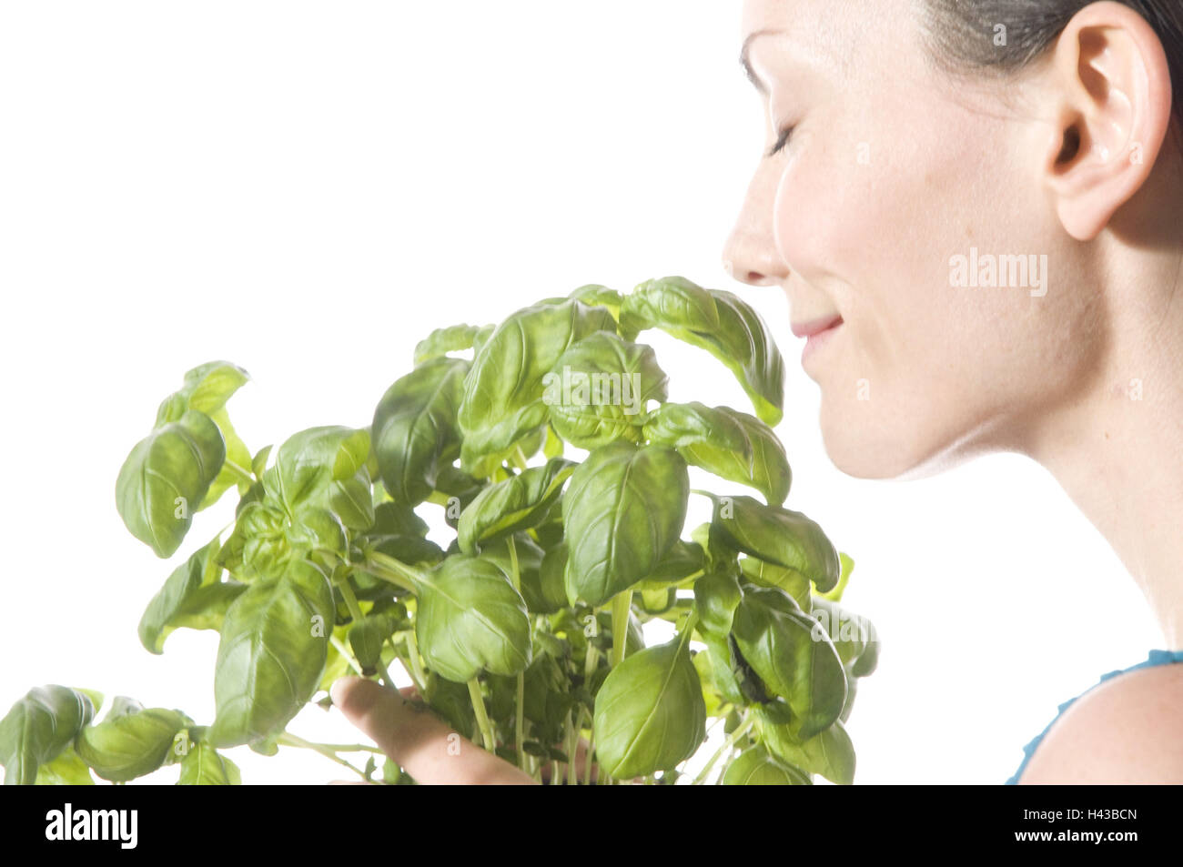 Woman, basil, smell, portrait, curled Stock Photo - Alamy