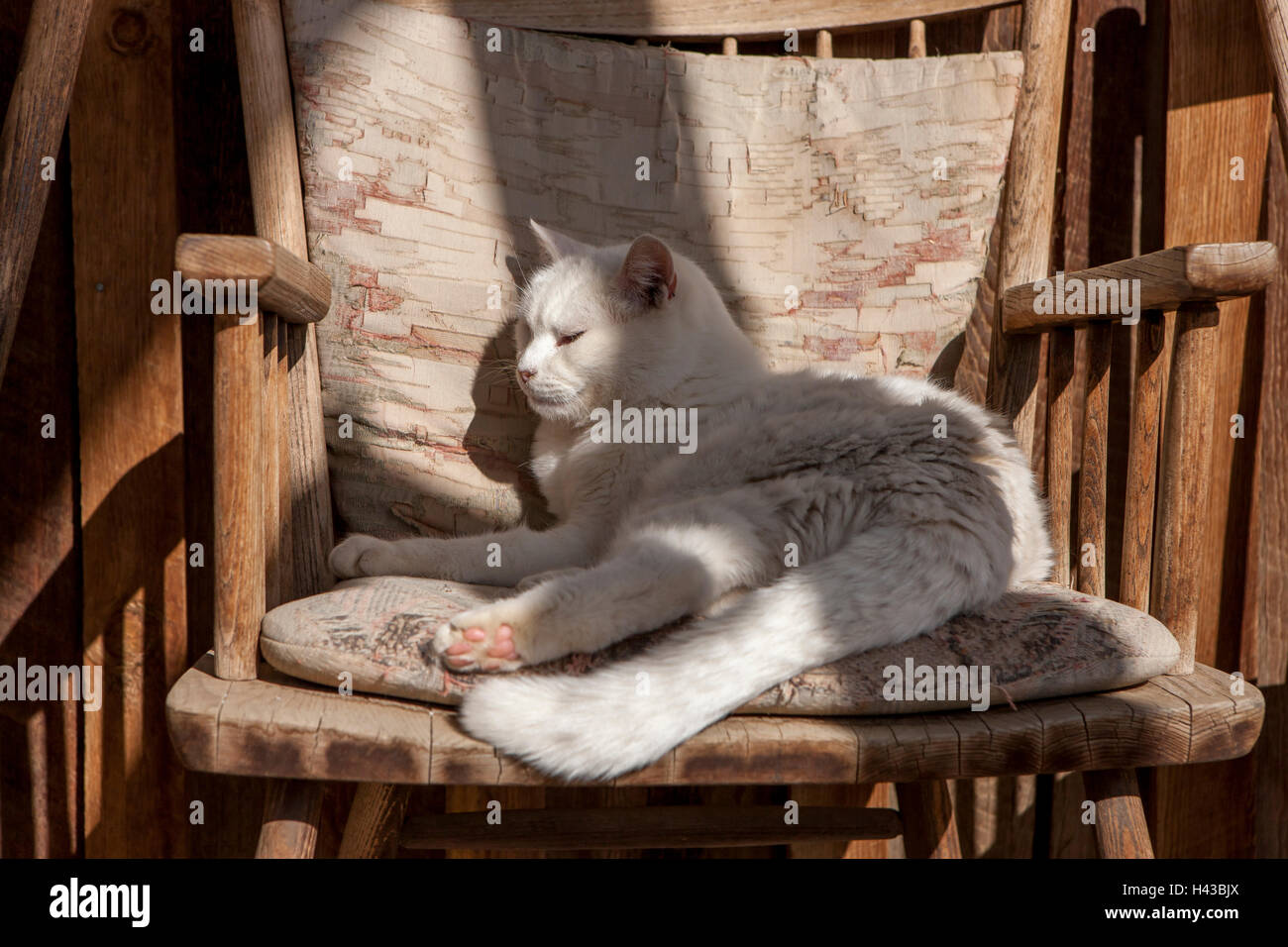Lazy chair hi-res stock photography and images - Alamy