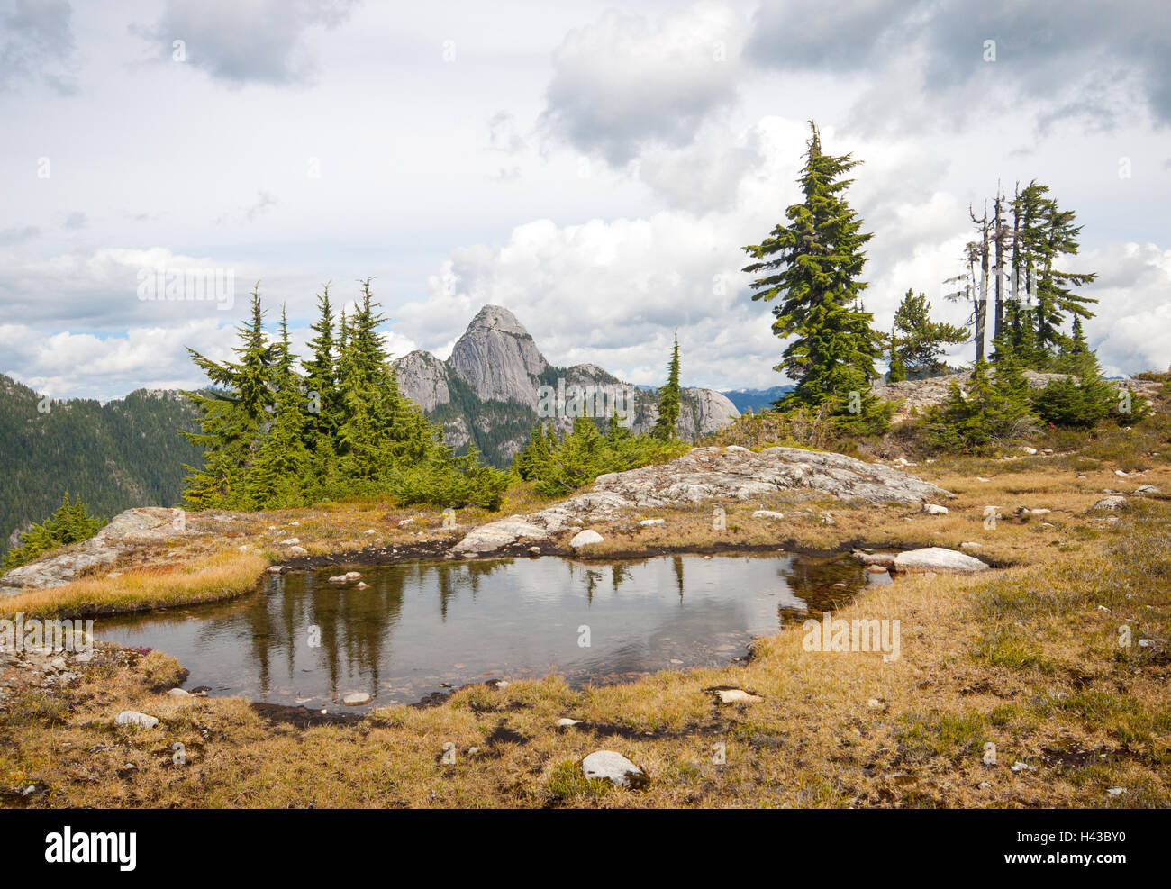 Mt habrich hi-res stock photography and images - Alamy