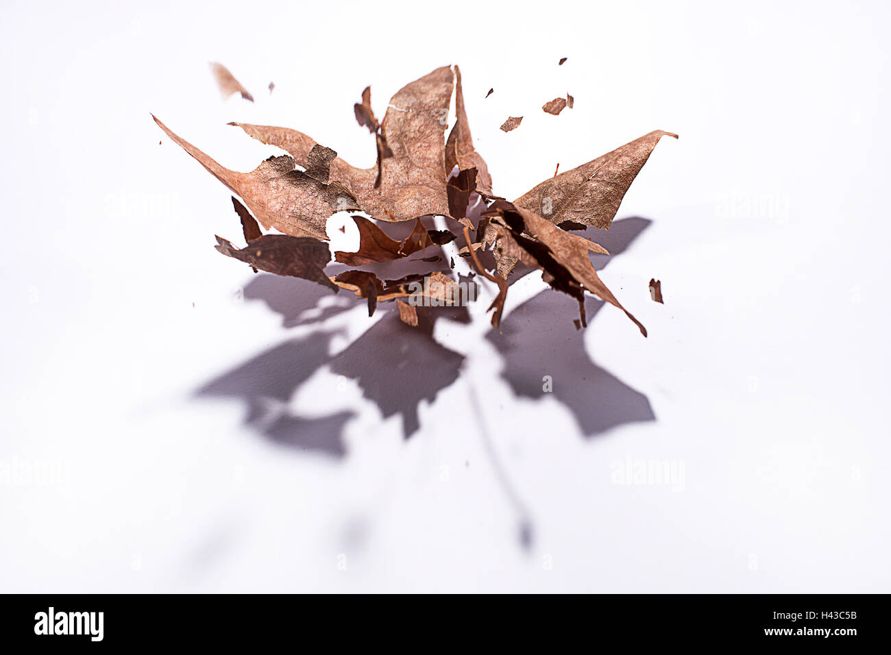 Exploding colour hi-res stock photography and images - Alamy