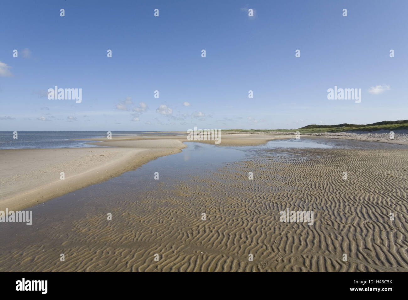 Watt north sea hi-res stock photography and images - Alamy