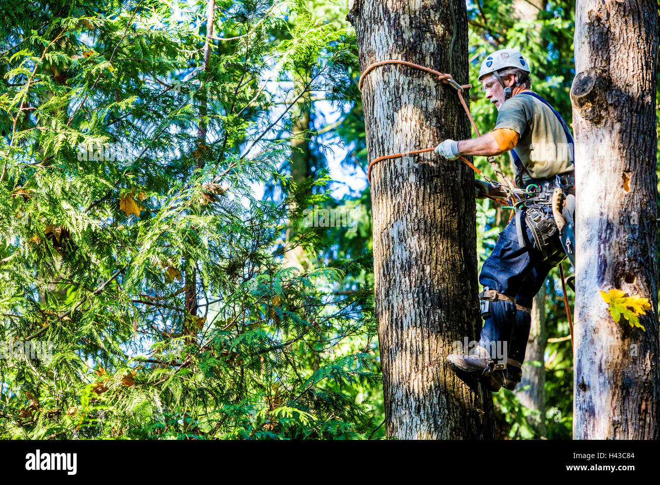 Full body harness hi-res stock photography and images - Alamy