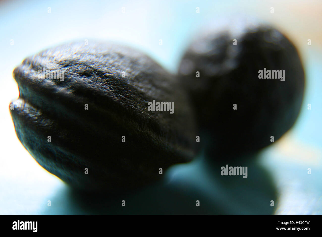 Moqui hi-res stock photography and images - Alamy