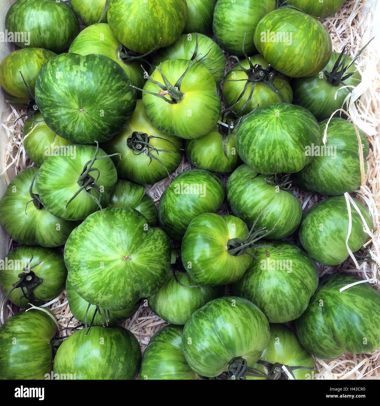Green tomatoes in a crate Stock Photo - Alamy