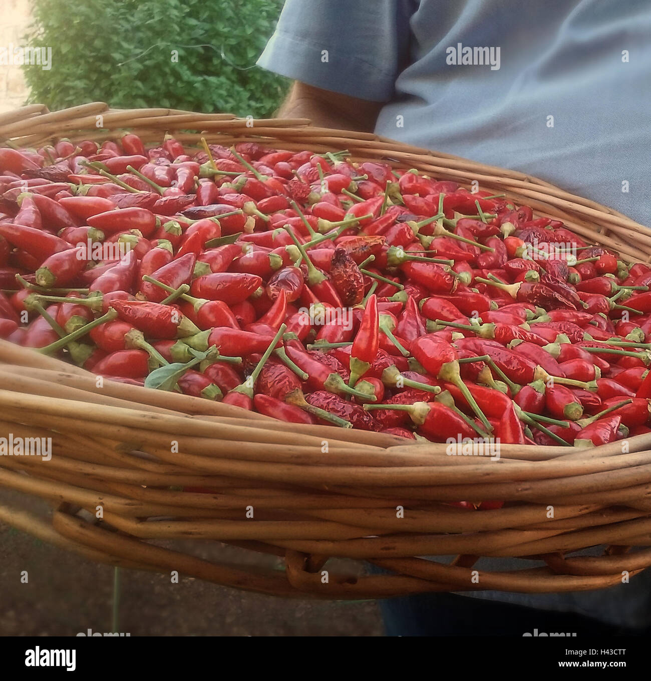 Man eating chilli peppers hi-res stock photography and images - Alamy