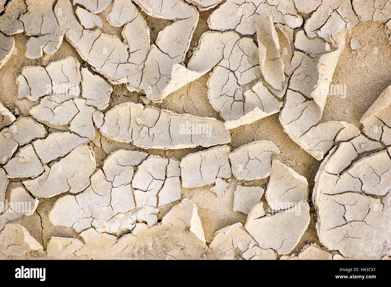 Cracked dry ground after drought, large detailed textured horizontal ...