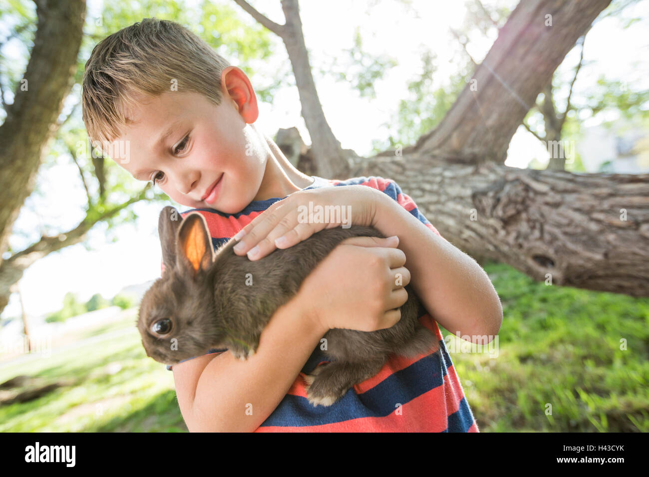 Caucasian boy petting rabbit Stock Photo - Alamy