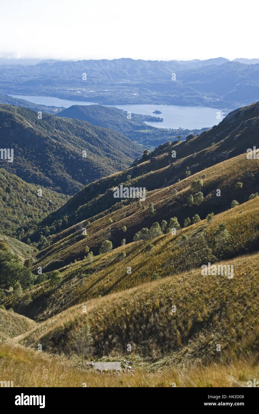 Italy, Piedmont, Monte Mottarone, Ortasee, environment, mountains Stock ...