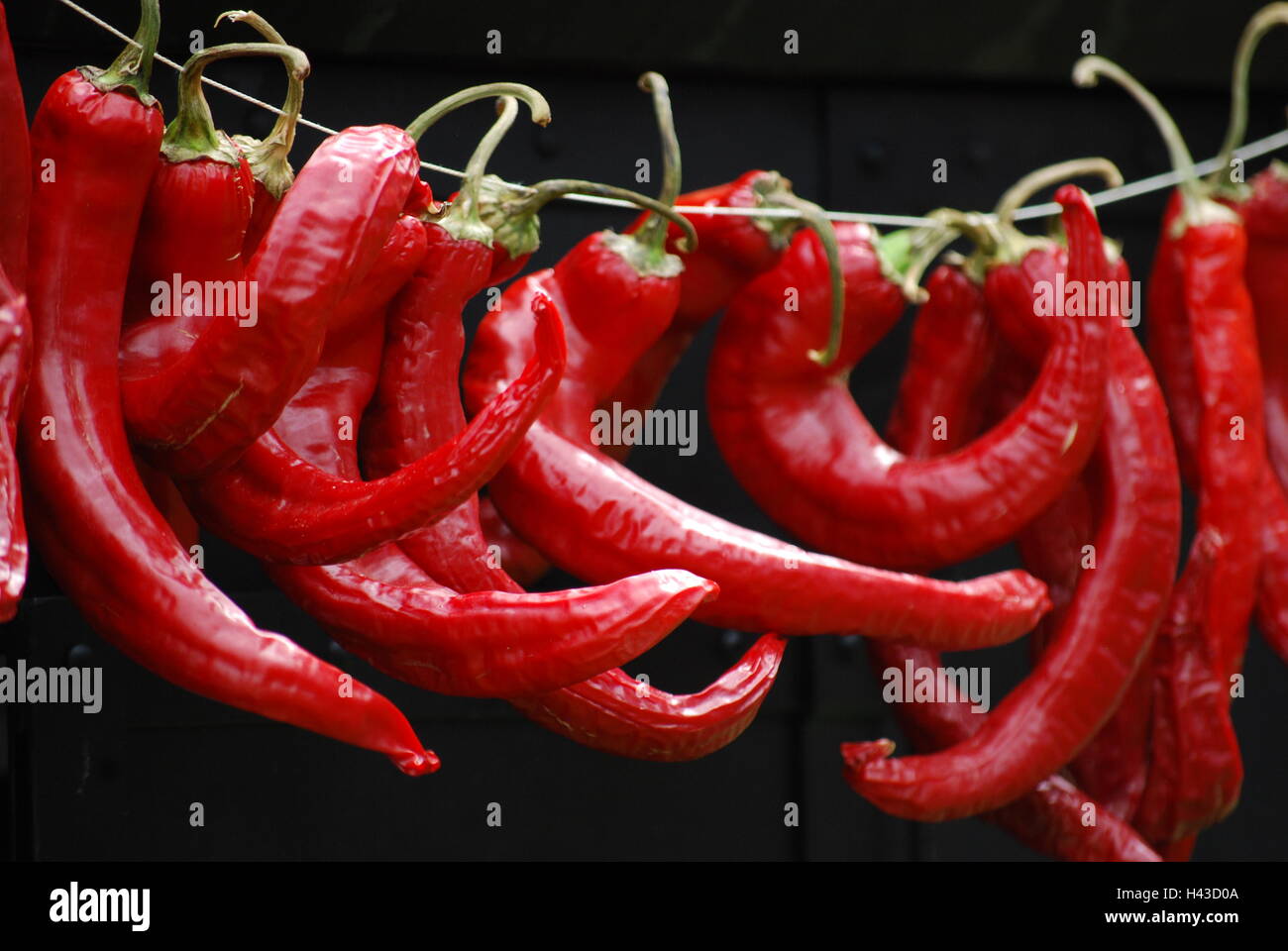 Red chili peppers hanging on a string Stock Photo - Alamy