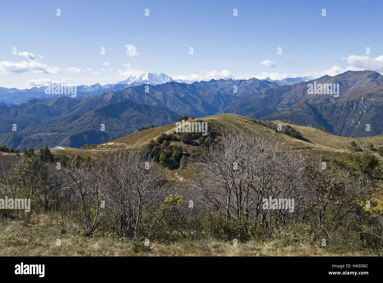 Italy, Piedmont, Monte Mottarone, summit, 1491 m, environment, Alpine ...