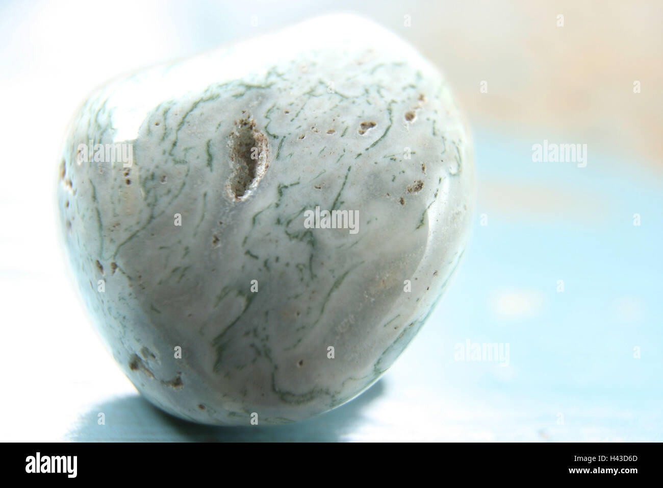 Tree agate hi-res stock photography and images - Alamy