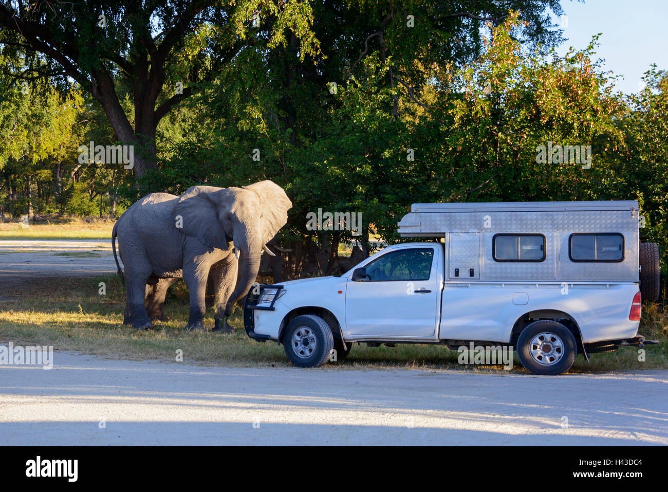 Elephant caravan hi-res stock photography and images - Alamy
