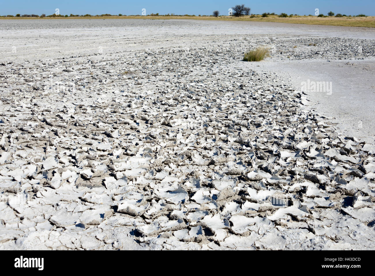 Salty crust, salt pan of Kudiakam Pan complex, Nxai Pan National Park ...