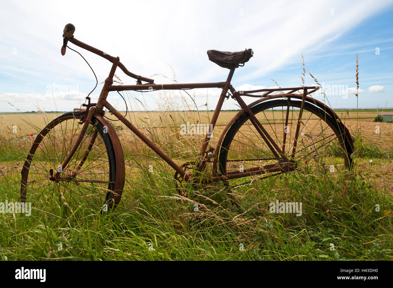 Rusted bicycle in grass by roadside, Vandee, France Stock Photo - Alamy