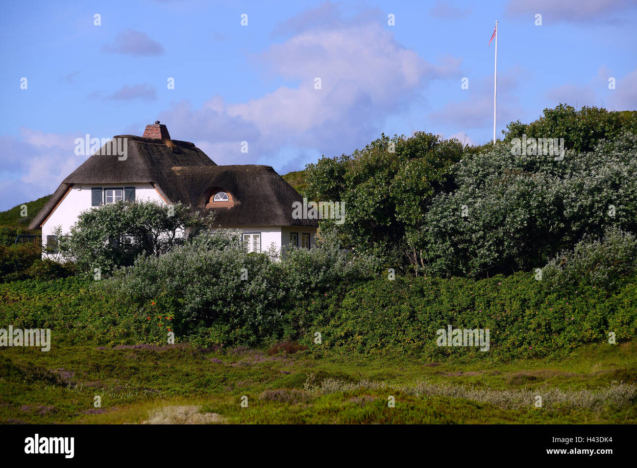 Typical Frisian house, thatched cottage on dunes of Hörnum, Sylt, North ...