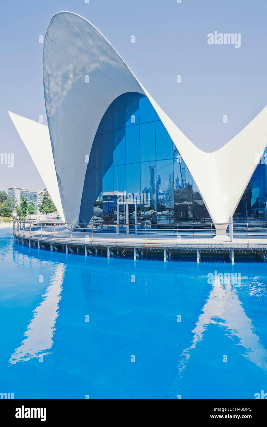 L'Oceanogràfic, The Oceanographic Aquarium, City of Arts and Sciences ...