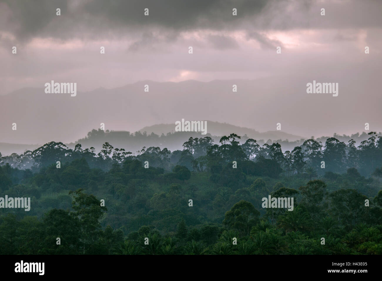 Landscape with clouds and forest, Fundong, North-West Region, Cameroon ...