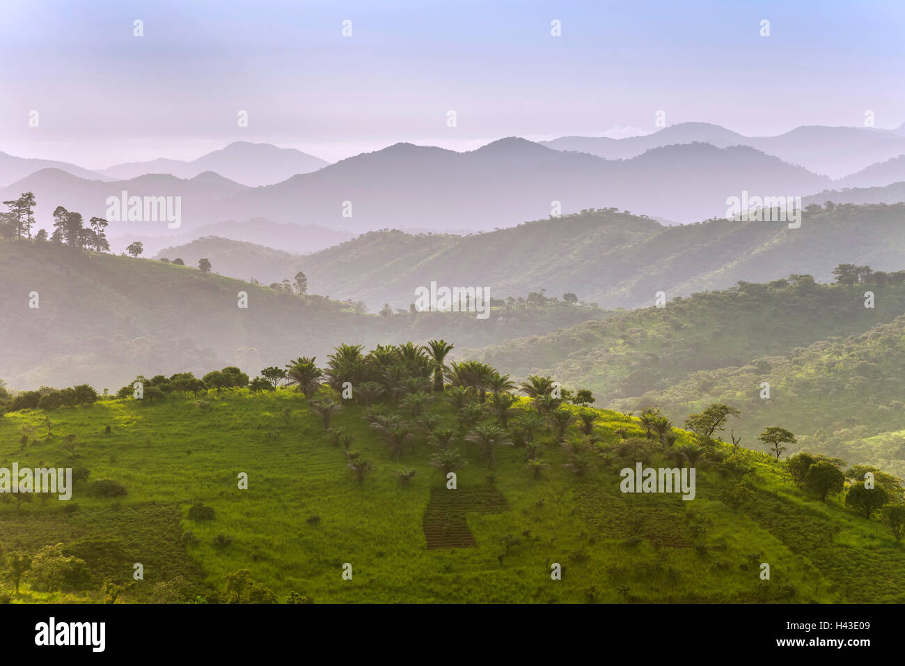 Landscape, Fundong region North-West, Cameroon Stock Photo - Alamy