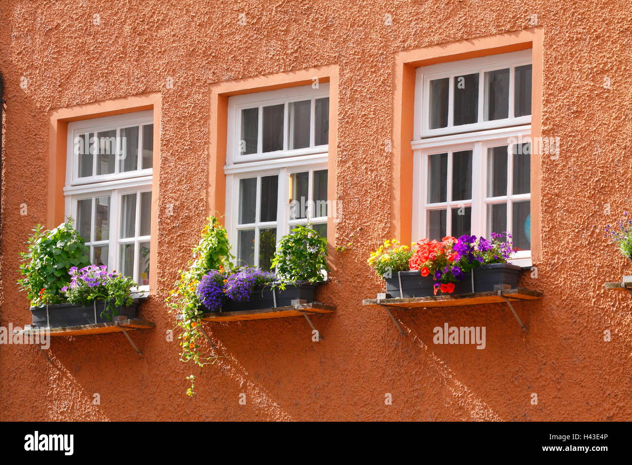 Blooming colorful summer flowers in flower boxes in front of windows ...