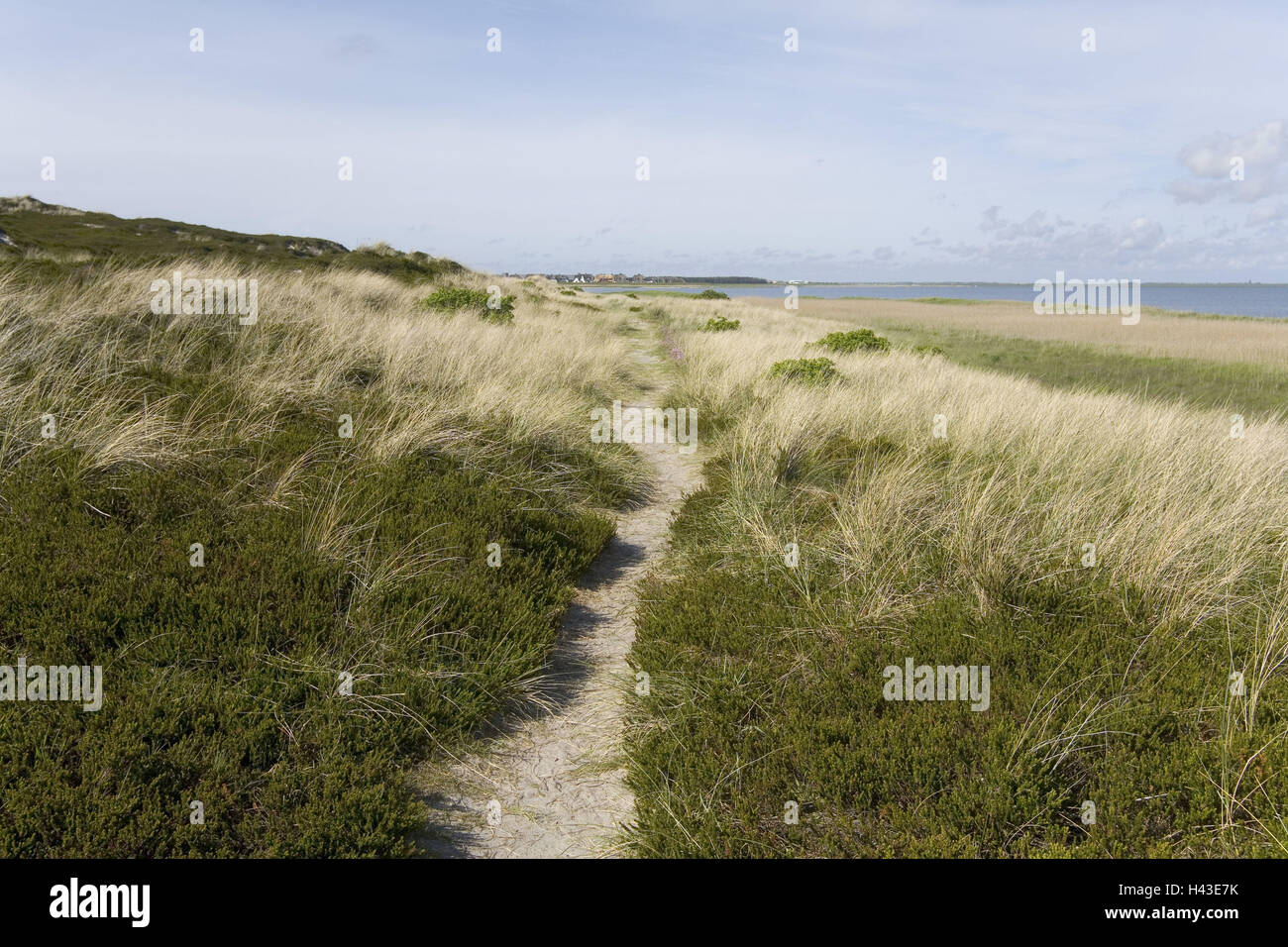 Germany, Schleswig - Holstein, Sylt, Rantum, Hörnum, way, the North Sea ...