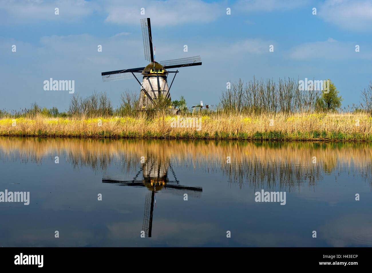 Dutch windmill on a canal, Kinderdijk, Alblasserwaard polder, South ...