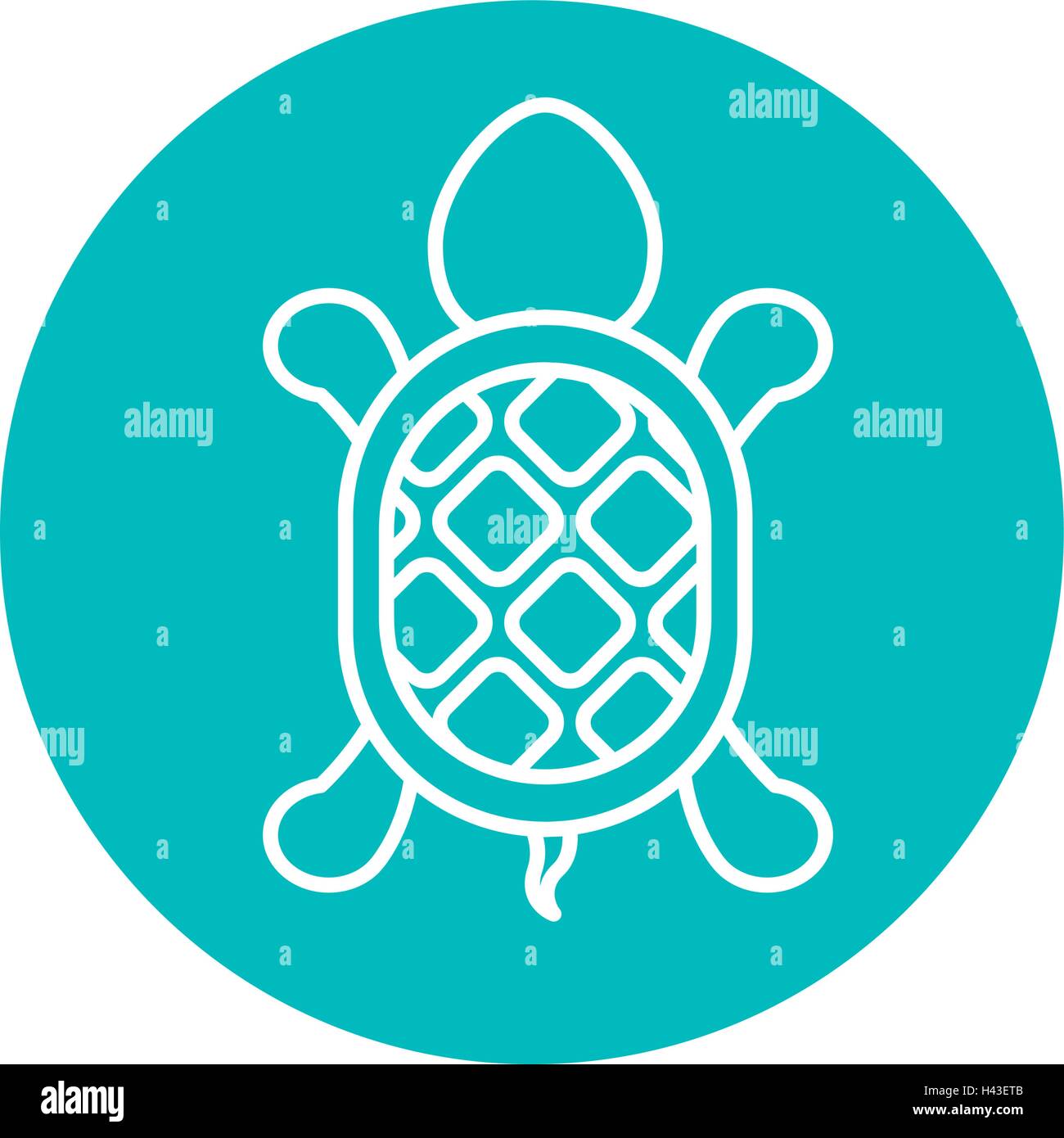 Circle shape with turtle animal Stock Vector Image & Art - Alamy