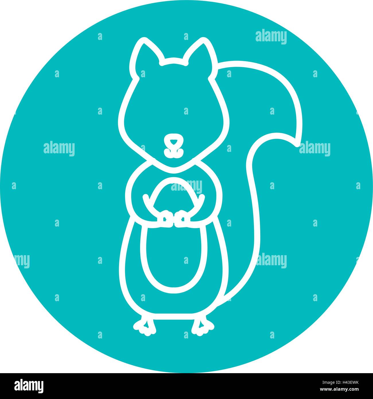 Circle shape with squirrel wild animal Stock Vector Image & Art - Alamy