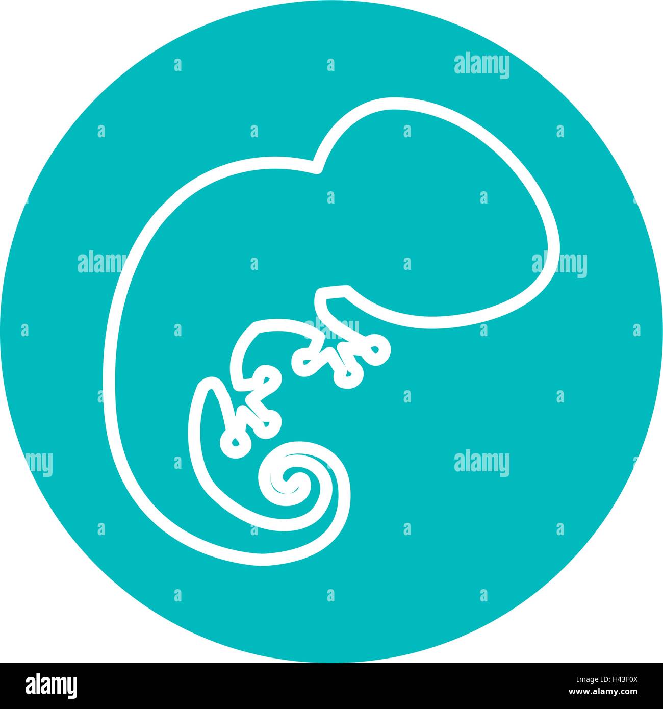 Salamander shape Stock Vector Images - Alamy