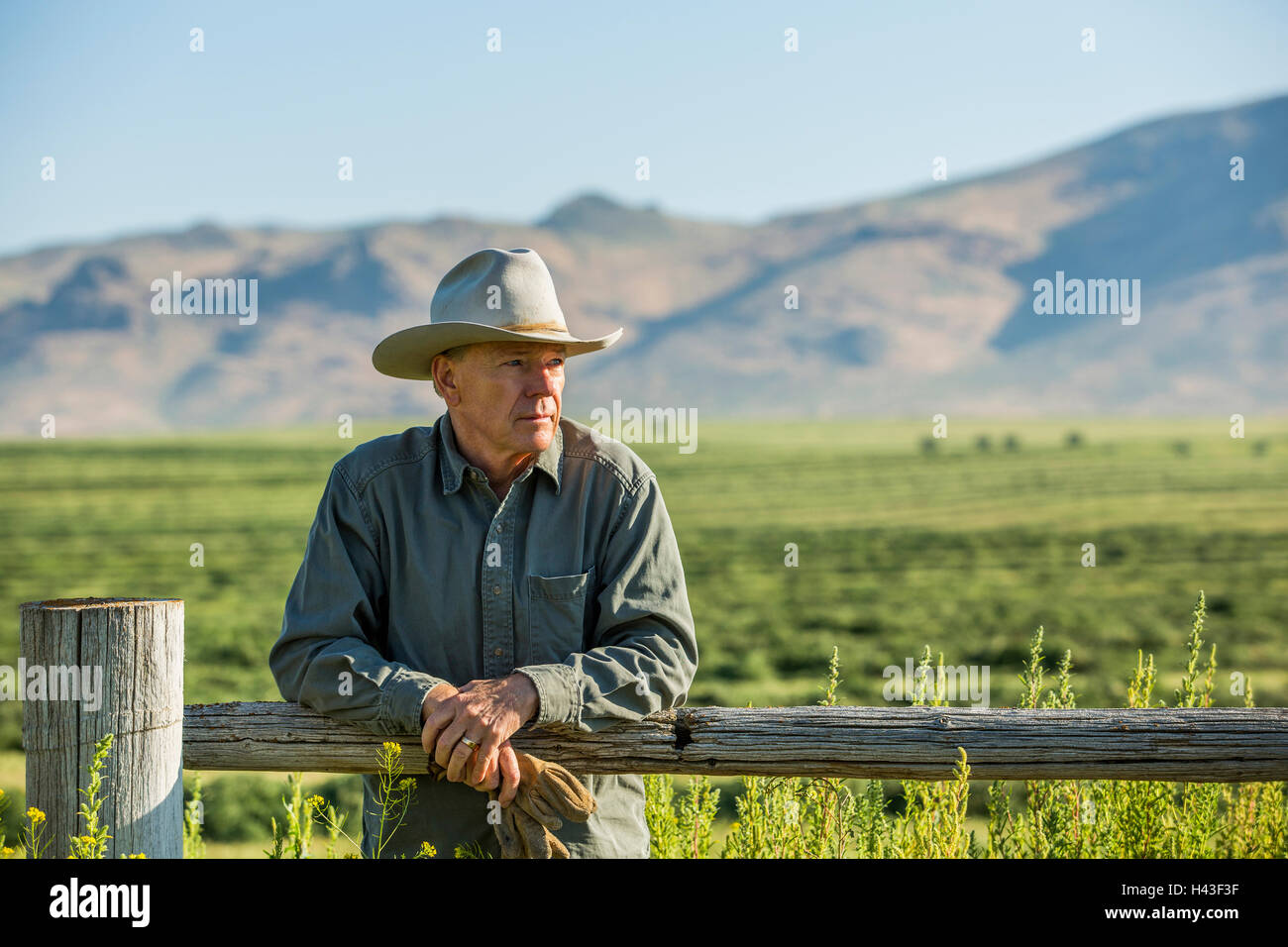 Cowboy leaning on fence hi-res stock photography and images - Alamy