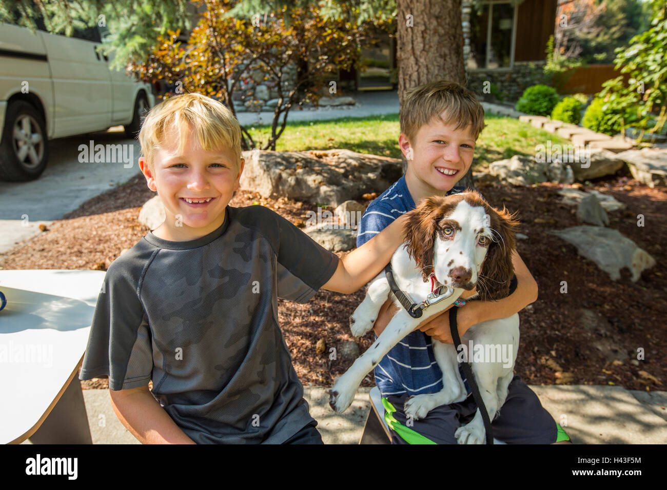 Boy petting dog hi-res stock photography and images - Alamy