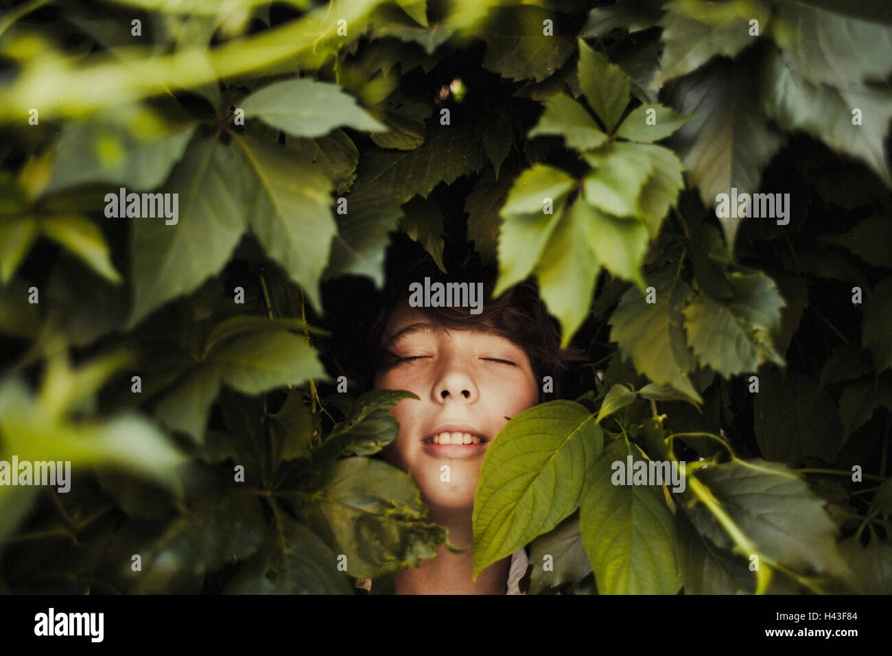 Caucasian boy smiling in leaves Stock Photo - Alamy