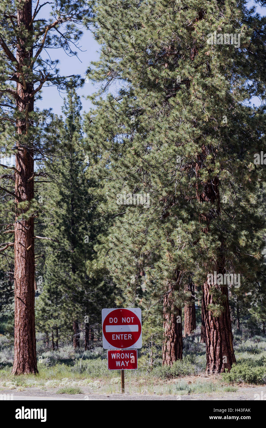 Forest of traffic signs hi-res stock photography and images - Alamy