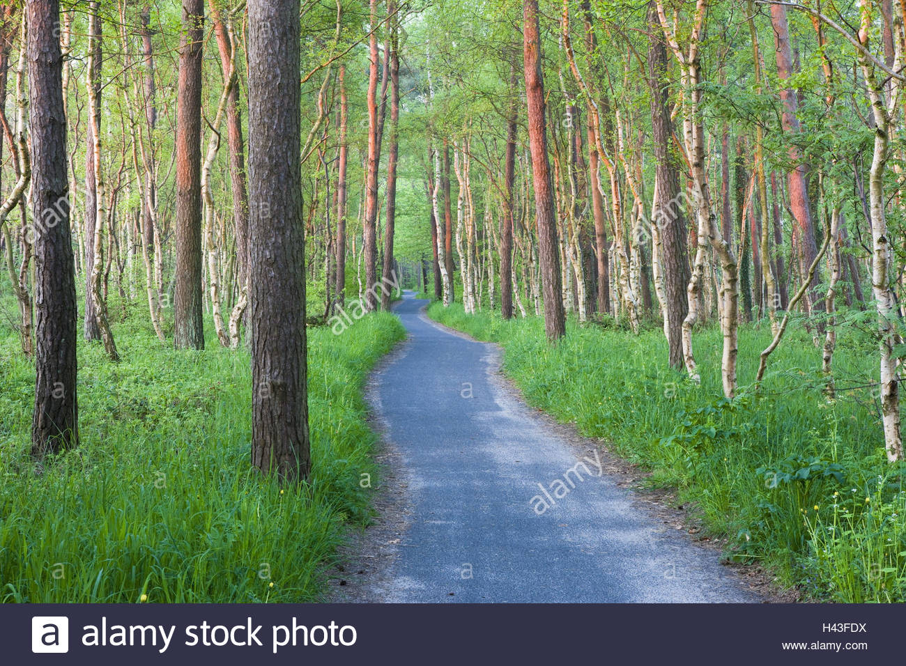 Tarred Road Stock Photos & Tarred Road Stock Images - Alamy