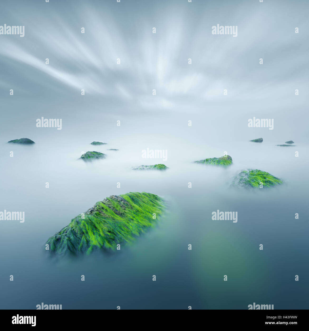 Moss covered rocks in a lake, Antrim, Northern Ireland, United Kingdom ...