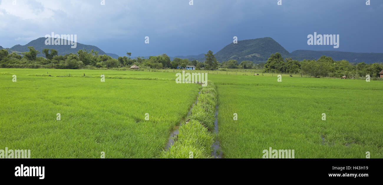 Brazil, Rio grandee Th Sul, Santa Maria, travel field, South America ...