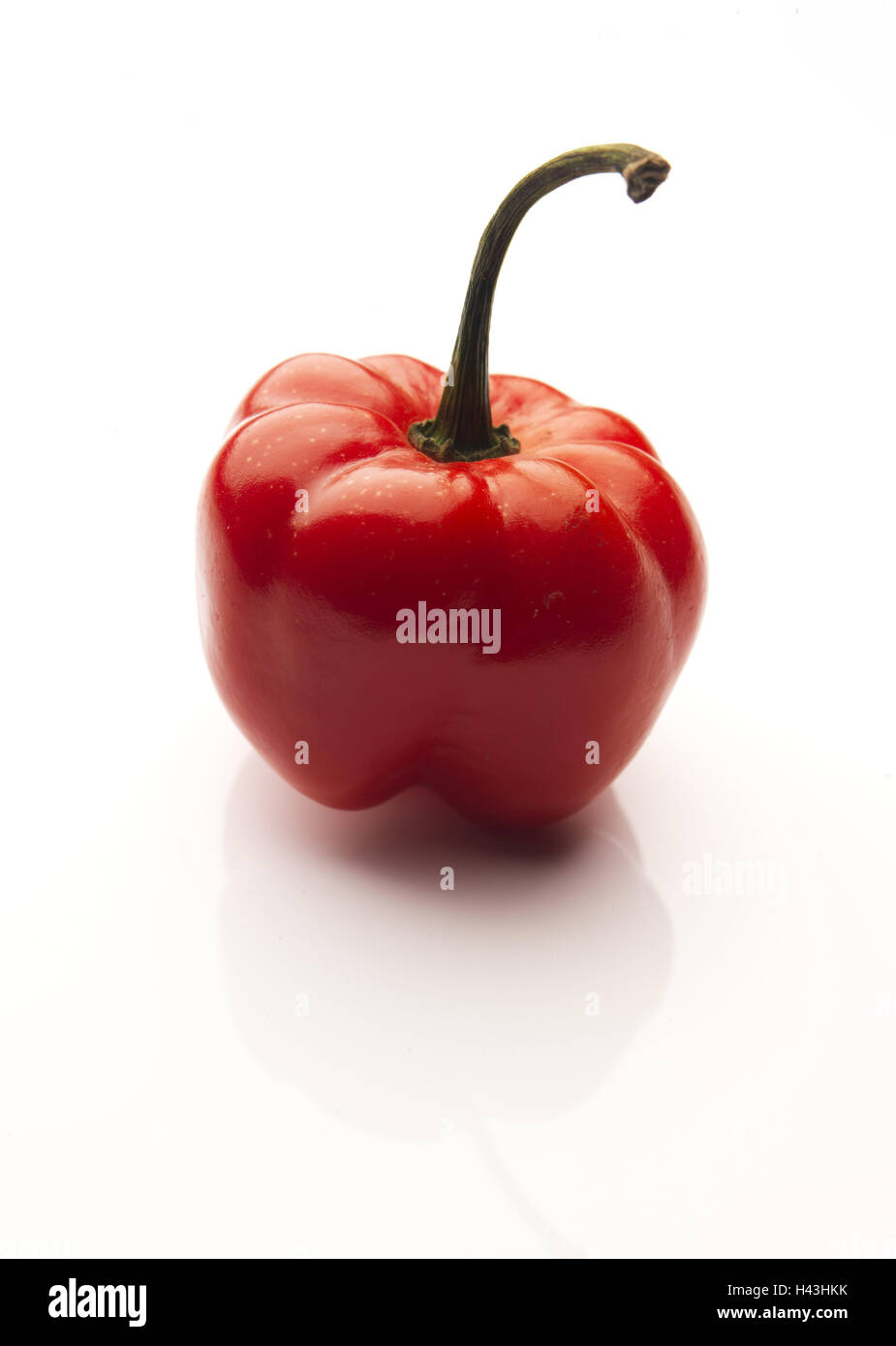 Chilli, Habanero, pod, chilli, Capsicum, chilli pods, spice, hot ...