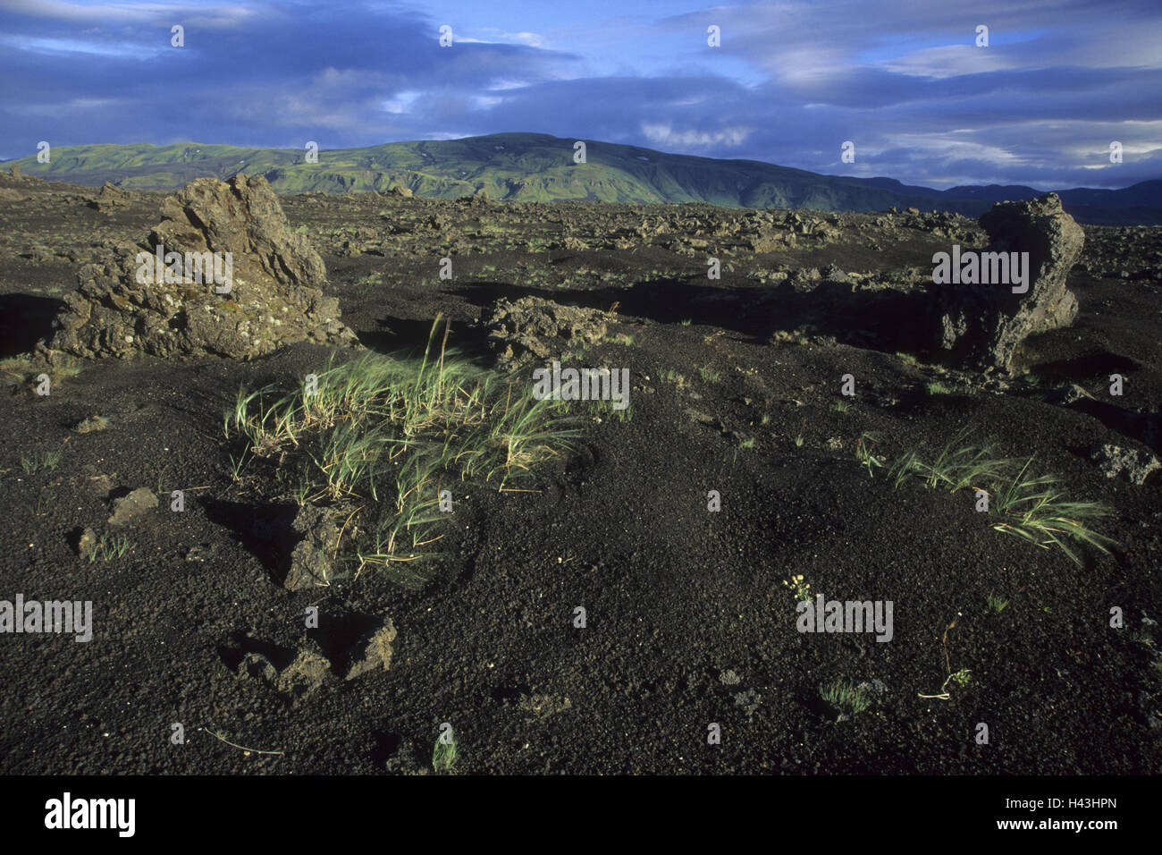 Iceland, scenery, volcano rock, volcano ground Stock Photo - Alamy