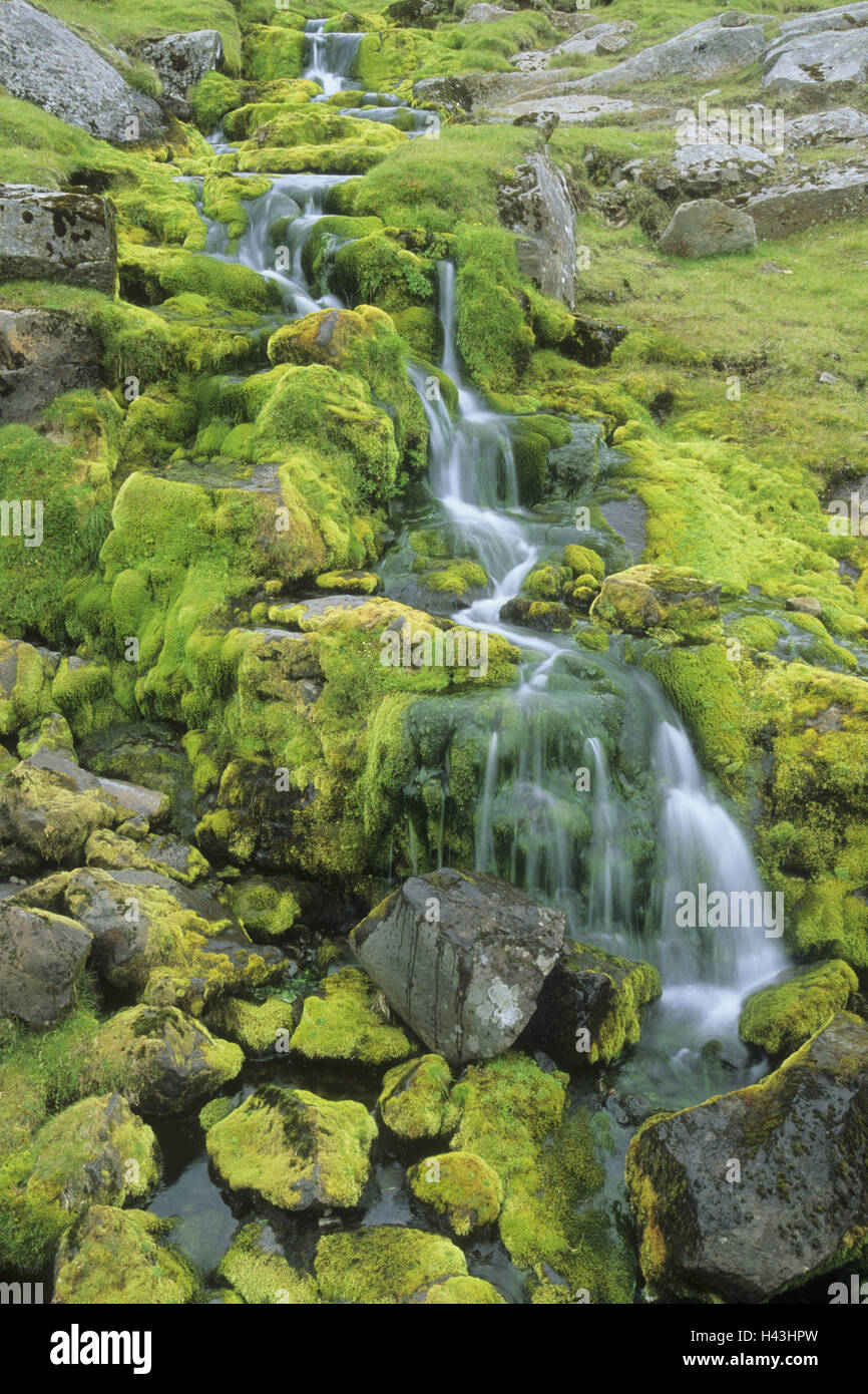 Moss and water hi-res stock photography and images - Alamy