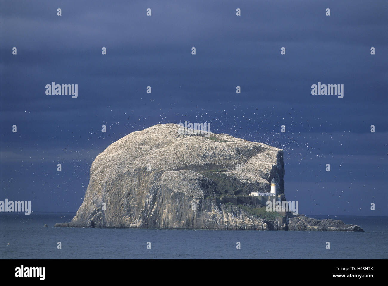 Great Britain, Scotland, North Berwick, bass rock, bird's rock, sea ...