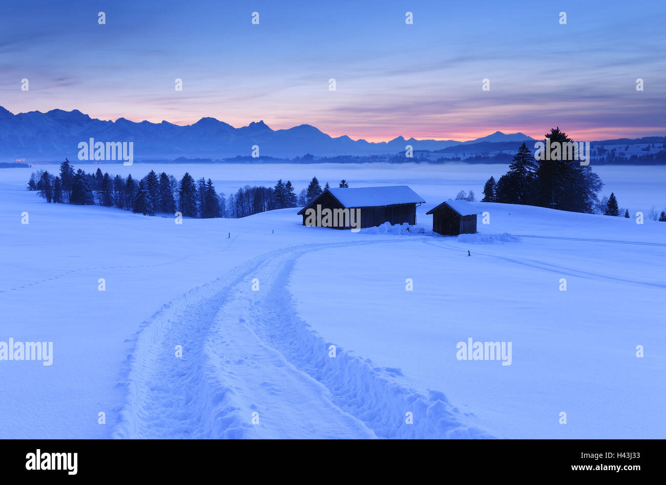 Winter at the forggensee hi-res stock photography and images - Alamy
