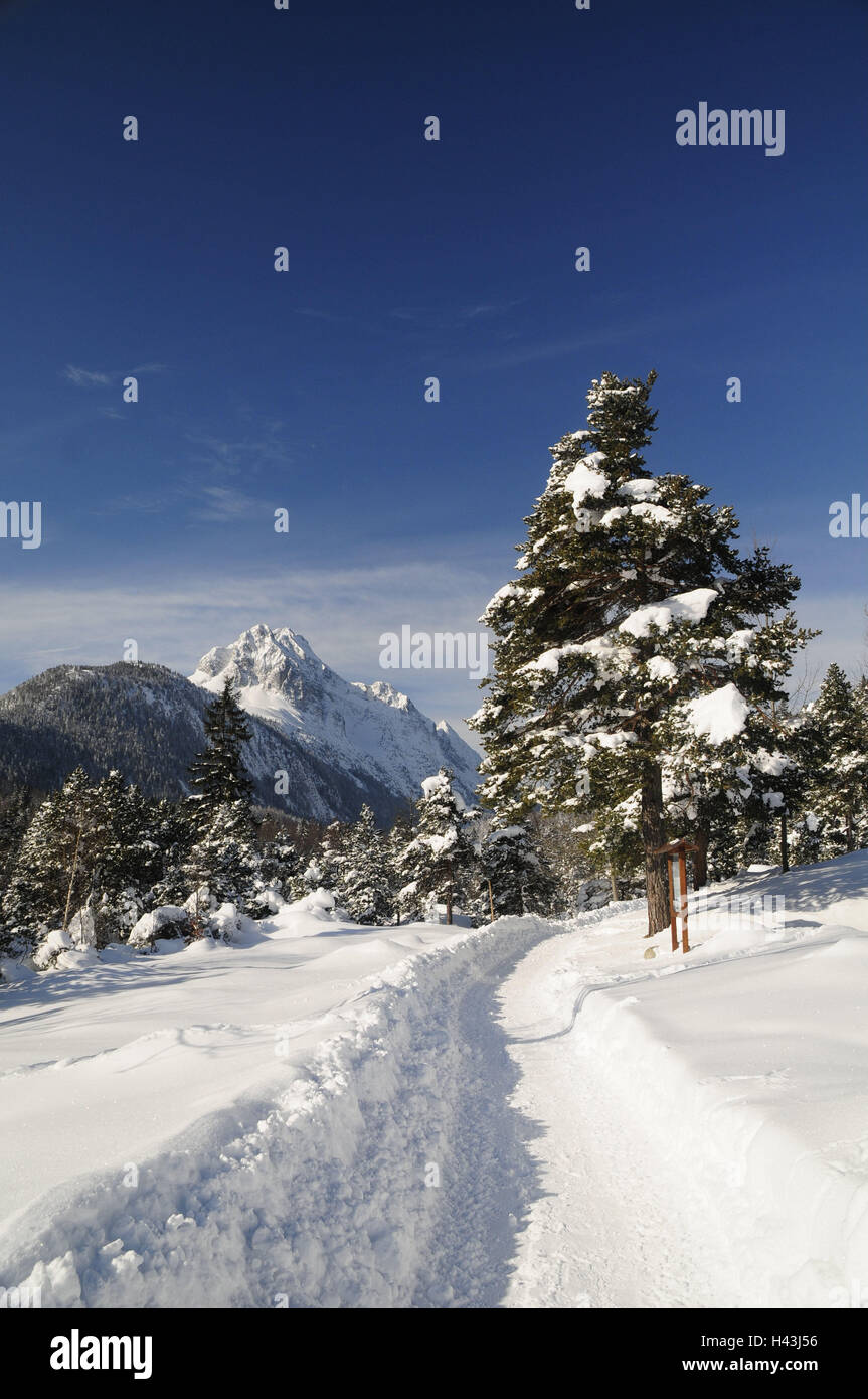 Germany, Upper Bavaria, Mittenwald, footpath, winter scenery, weather ...