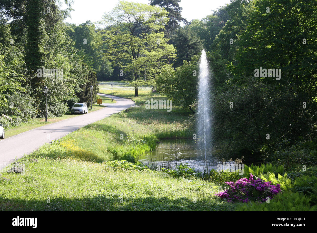 Germany, Saxony, Dresden, edge the forest, park, fountain, park, street ...