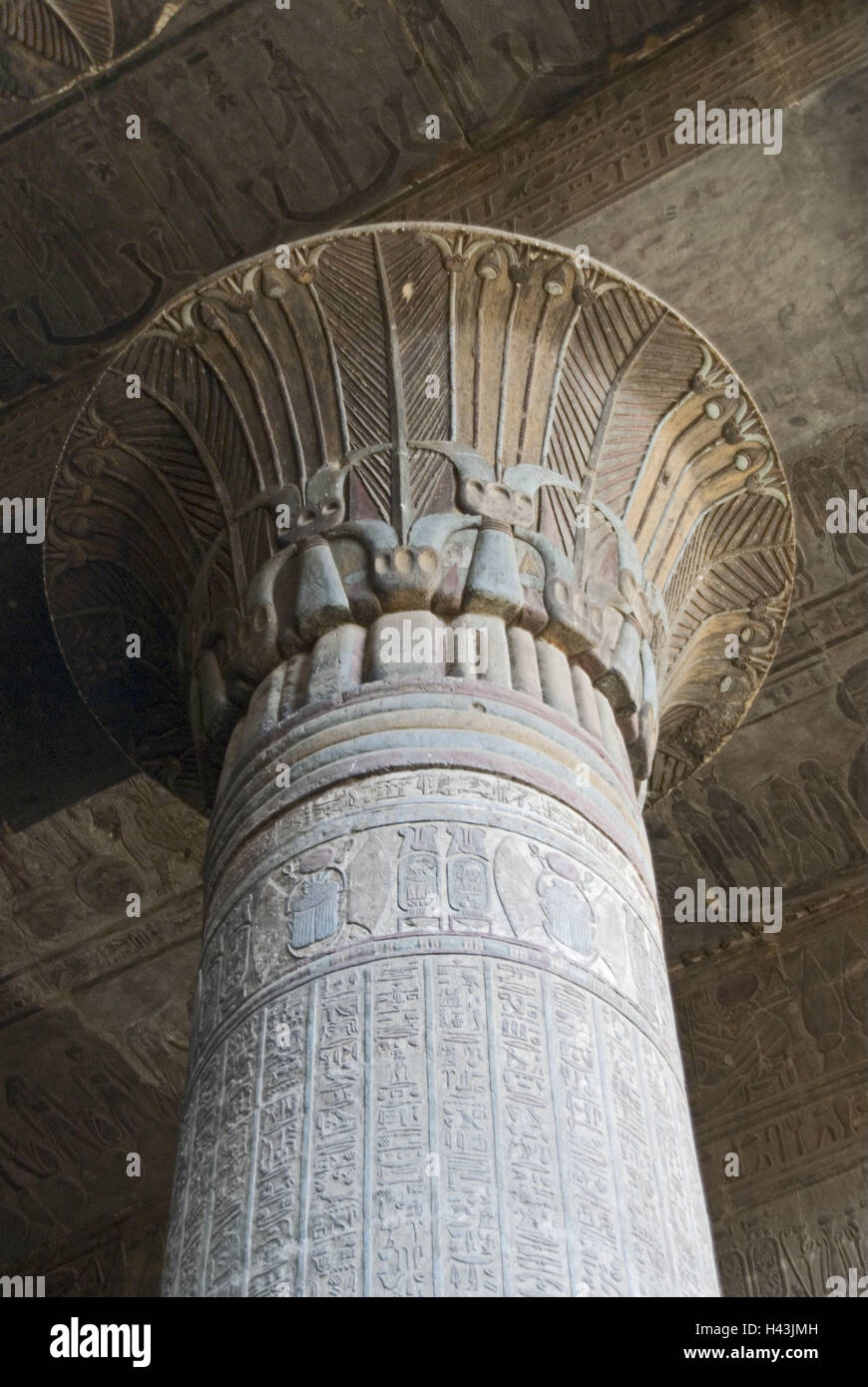 Egypt, Esna, Chnum temple, vestibule, pillar, grace notes, flower ...