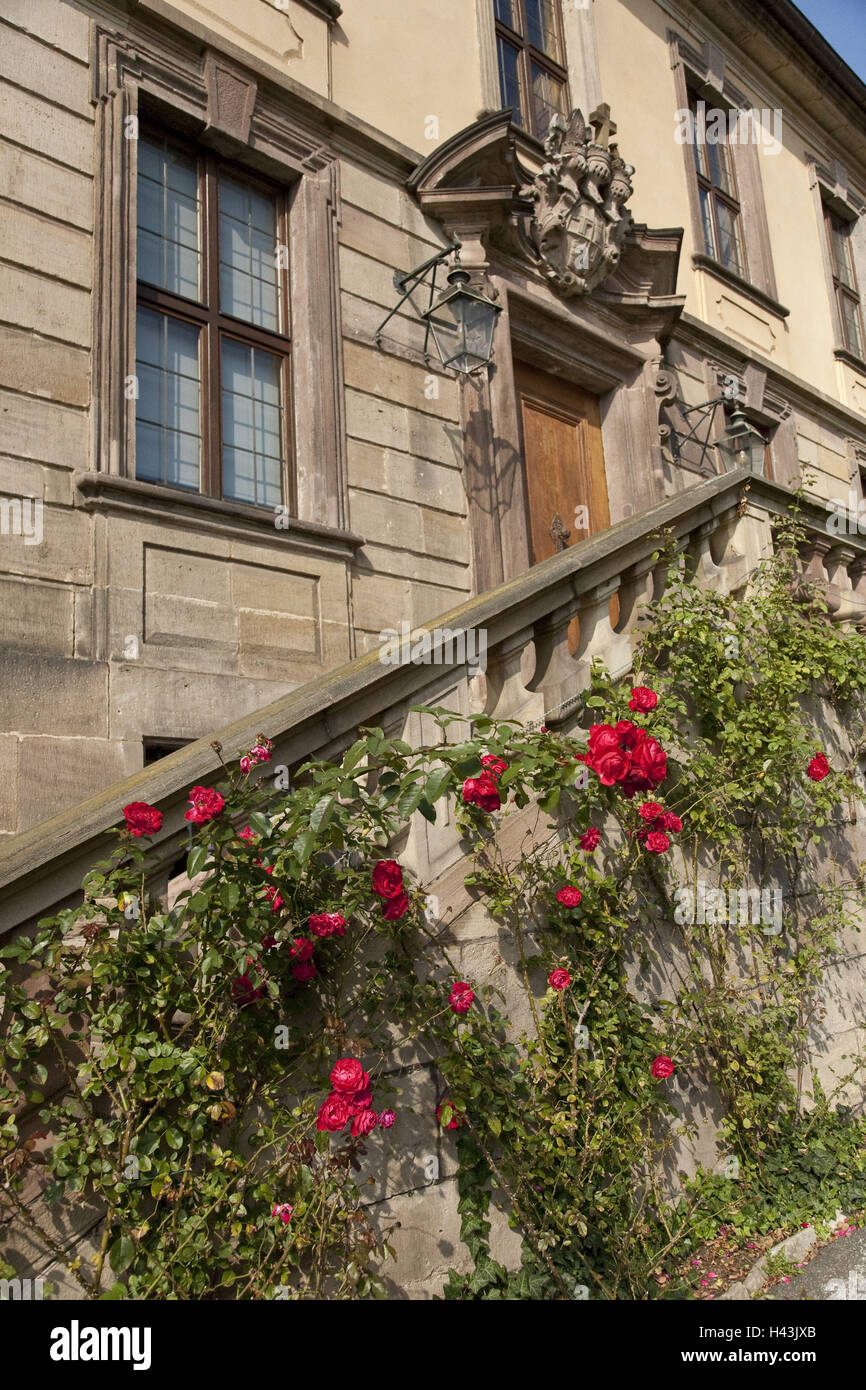 Germany, Hessen, Fulda, town lock, stairs rising, climbing roses ...