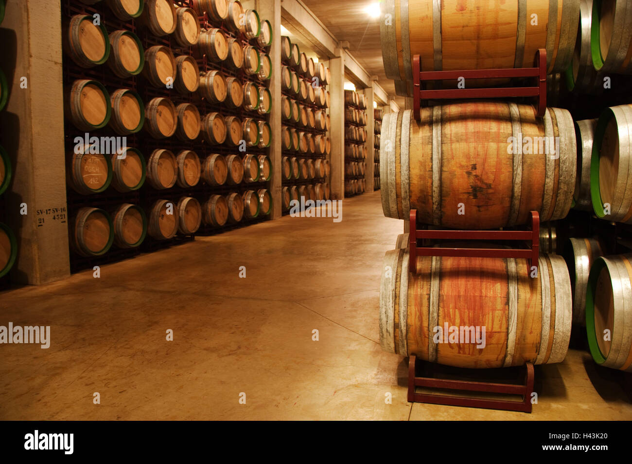 Spain, La Rioja, wine cellar Stock Photo - Alamy